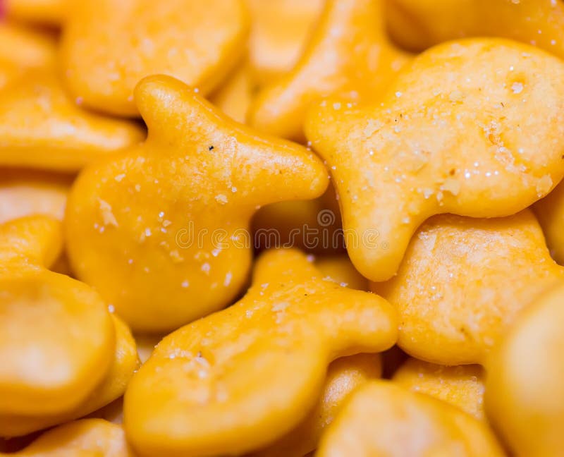 Gold Fish Crackers stock photo. Image of crisp, cracker - 4071286