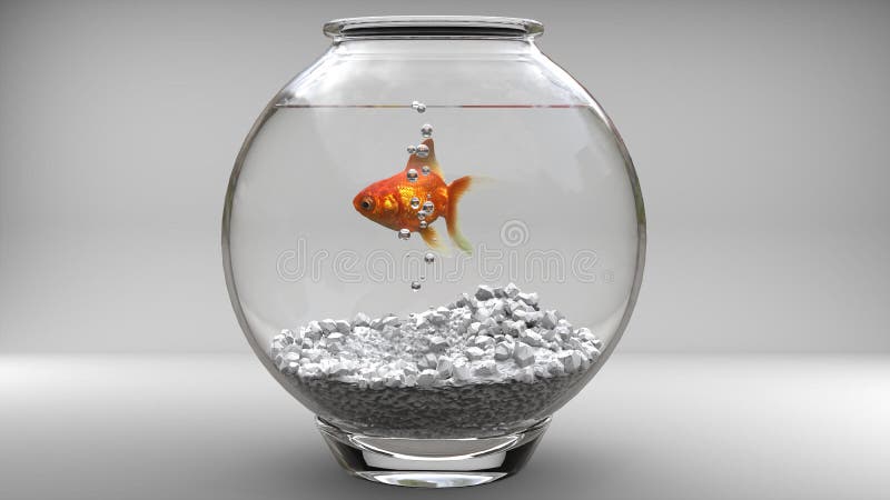 Cool Fish Bowl