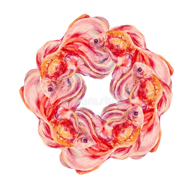 Gold Fish Round Frame Png Aquarelle Stock Photo - Image of fish, frame ...