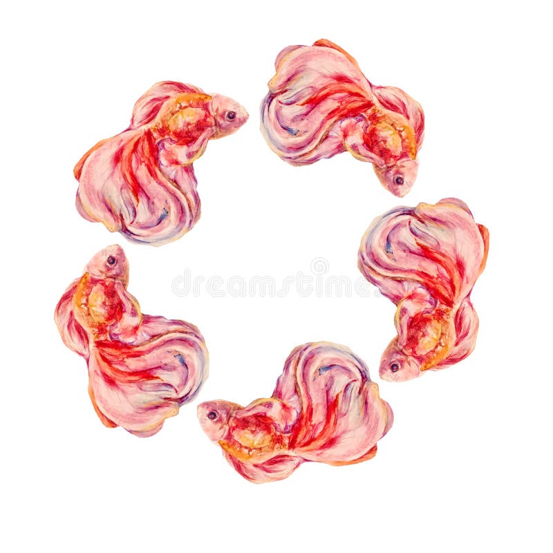 Gold Fish Round Pattern Aquarelle Hand Drawn Stock Image - Illustration ...