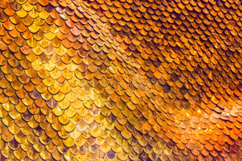 Gold Fish Scales Background Stock Photo - Image of marine, natural ...