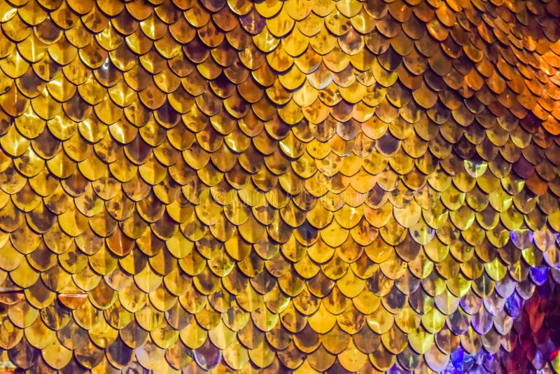 Gold Fish Scales Background Stock Image - Image of roach, horizontal ...