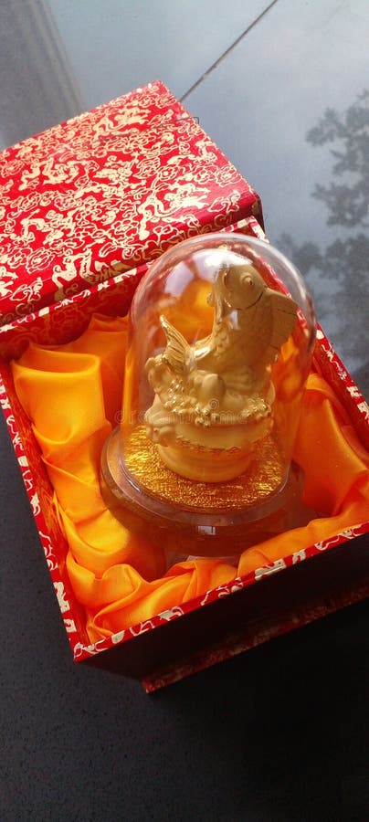 102 Lucky Charm Fish Stock Photos - Free & Royalty-Free Stock Photos ...