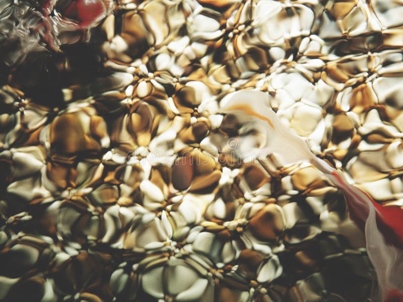 This is Gold Fish in the Tank, Top View Stock Image - Image of light ...