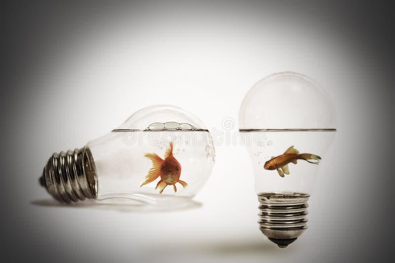 Fish in the bulb stock image. Image of goldfish, aquarium - 8249673