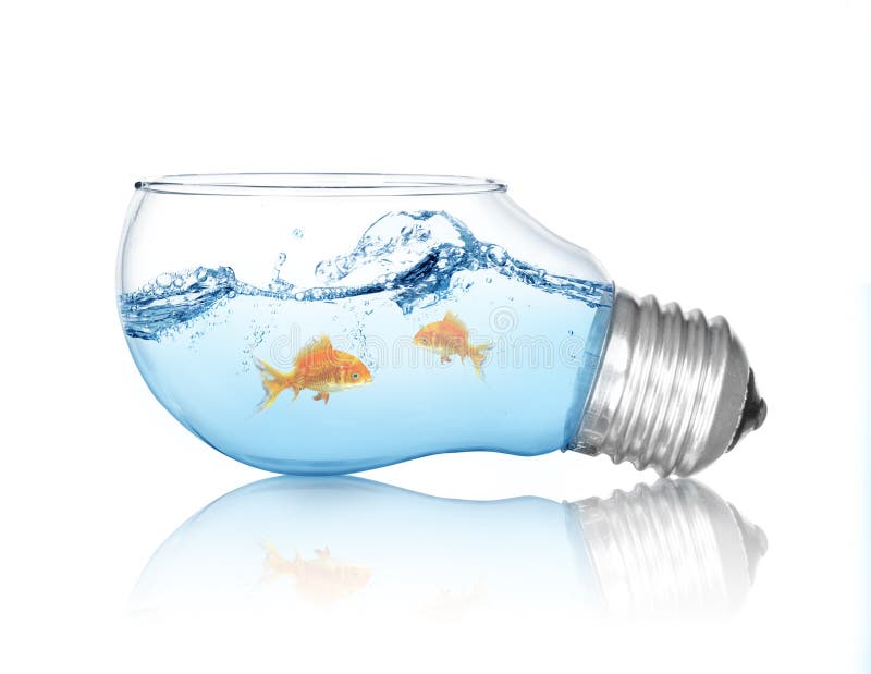 Gold Fish in Water Inside an Electric Light Bulb Stock Image - Image of ...