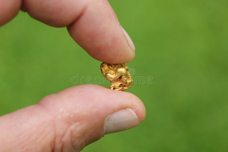 Gold Nugget Mining from the River Stock Image - Image of prosperity ...