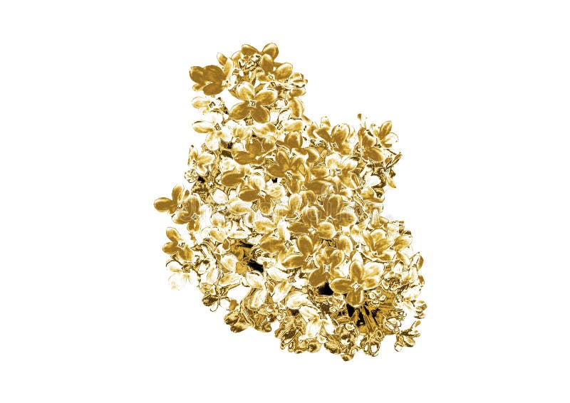 Gold flower stock image. Image of lily, beautiful, bouquet - 96026933