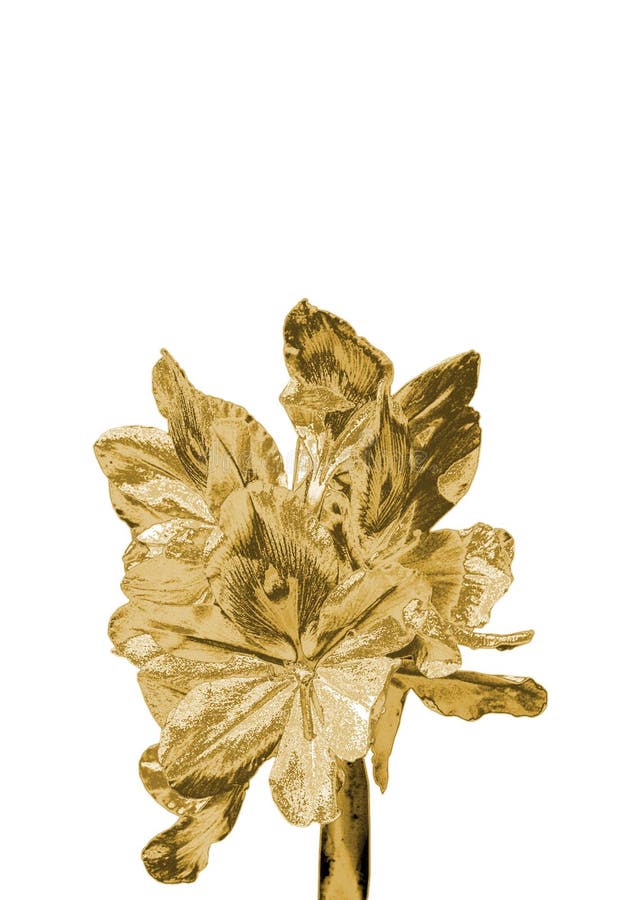 Gold flower stock photo. Image of textures, background - 96037896