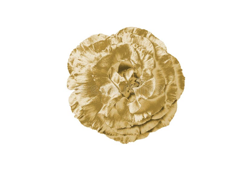 Gold flower stock photo. Image of textures, background - 96037896