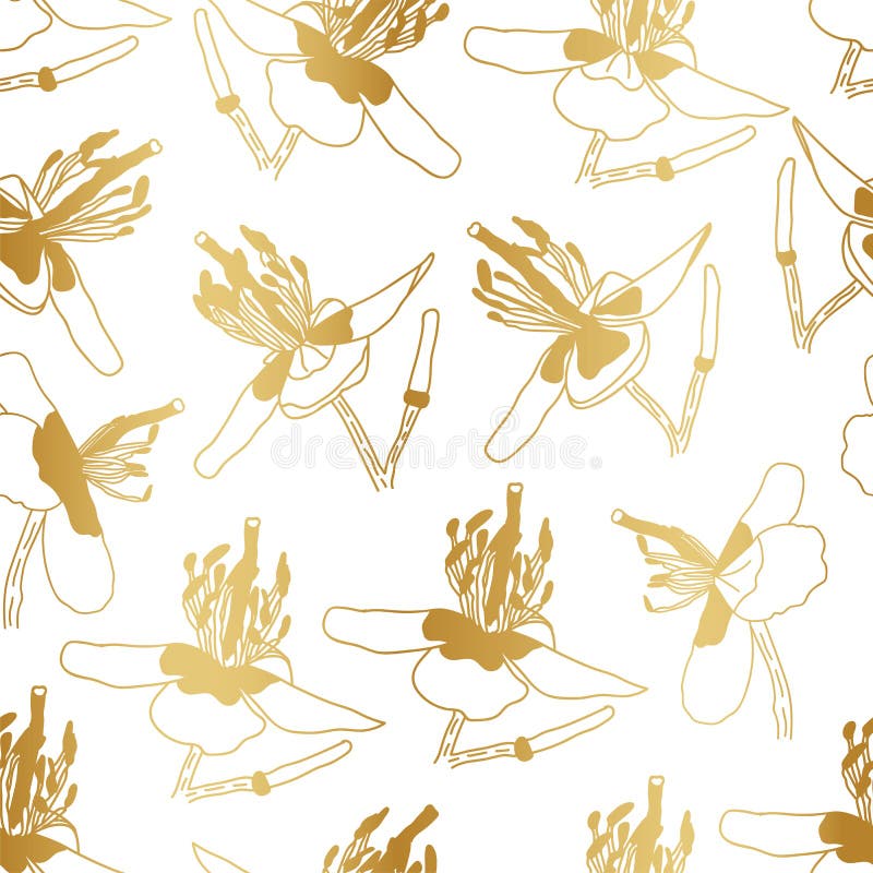 Gold Flower Floral Pattern Background Stock Vector - Illustration of ...