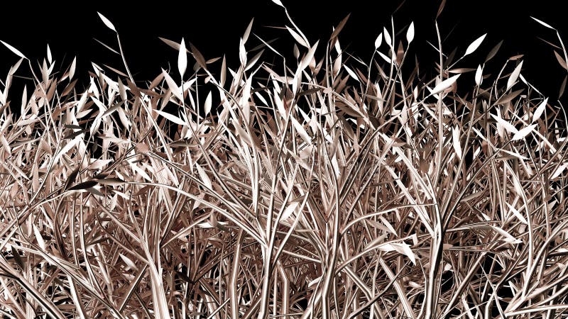 Gold Flower Paper and Grass. 3d Illustration, 3d Rendering Stock ...