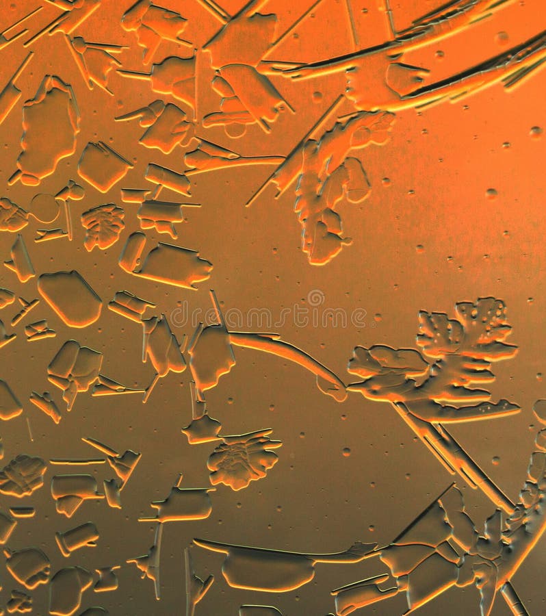 1,207 Frost Drawings Stock Photos - Free & Royalty-Free Stock Photos ...