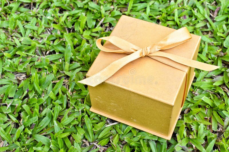 A Gold Gift Box on Green Grass Stock Photo - Image of grass, christmas ...
