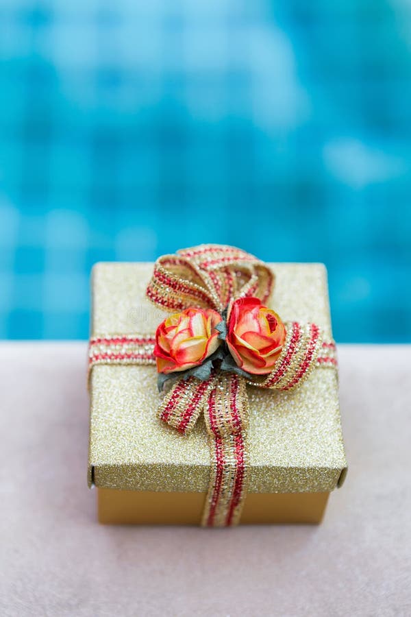 1,420 Gift Swimming Stock Photos - Free & Royalty-Free Stock Photos ...