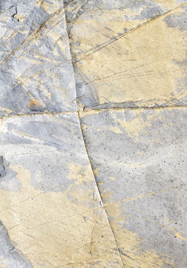 Misterlez (Misterlez) - Photos