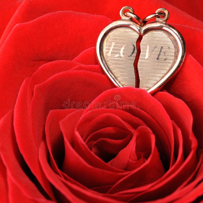 Valentine S Day Candy Heart and Rose Stock Image - Image of love, rose ...