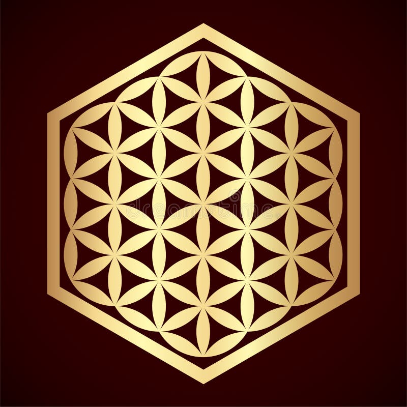Gold Hexagonal Sacred Geometry Ornament Stock Vector - Illustration of ...