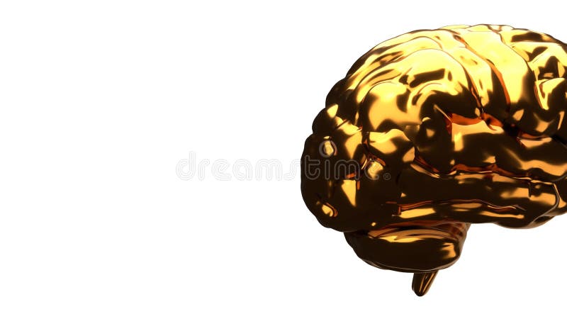 Gold Human Brain on White Text Space. Stock Video - Video of human ...