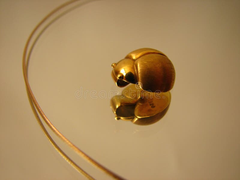 Gold ladybird stock photo. Image of ornamental, golden - 2464294