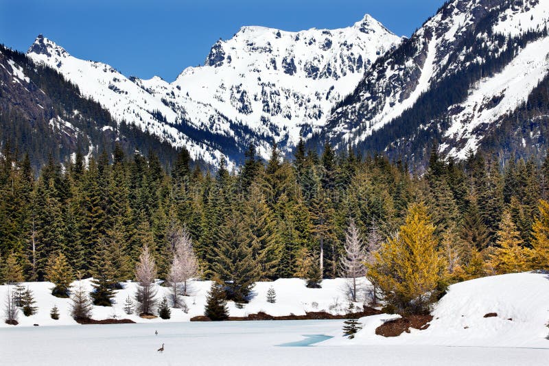Gold Lake Spring Snow Snoqualme Pass Washington Stock Image - Image of ...