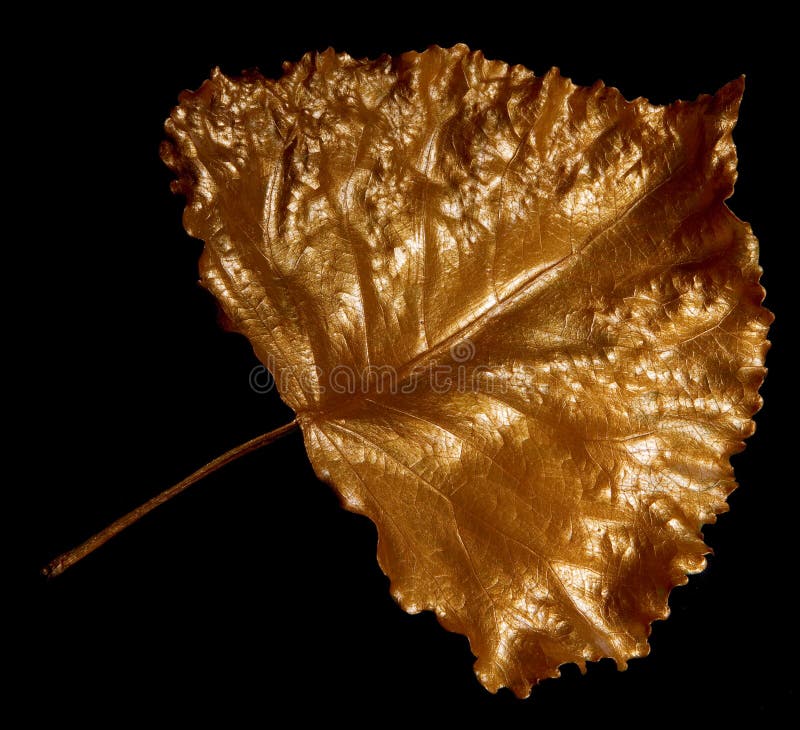 Gold leaf stock image. Image of fall, crumbly, background - 21562905