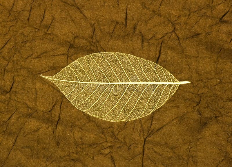 Gold leaf skeleton stock image. Image of background, microscopic - 15749813