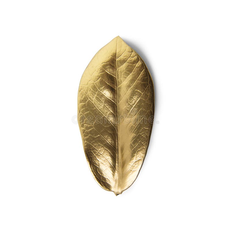 554 Gold Laurel Leaf Background Stock Photos - Free & Royalty-Free ...
