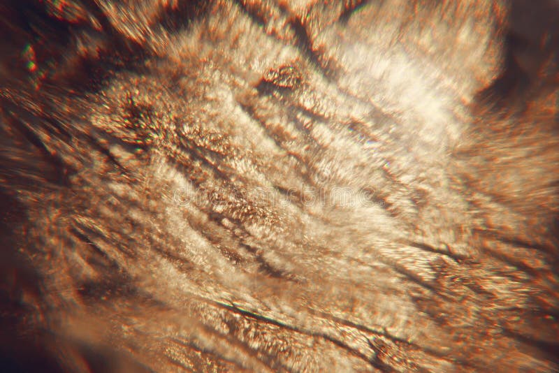 Gold light leaks stock photo. Image of blinding, energy - 179350740