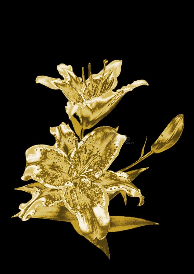 Gold lily stock image. Image of close, golden, orchid - 96018729