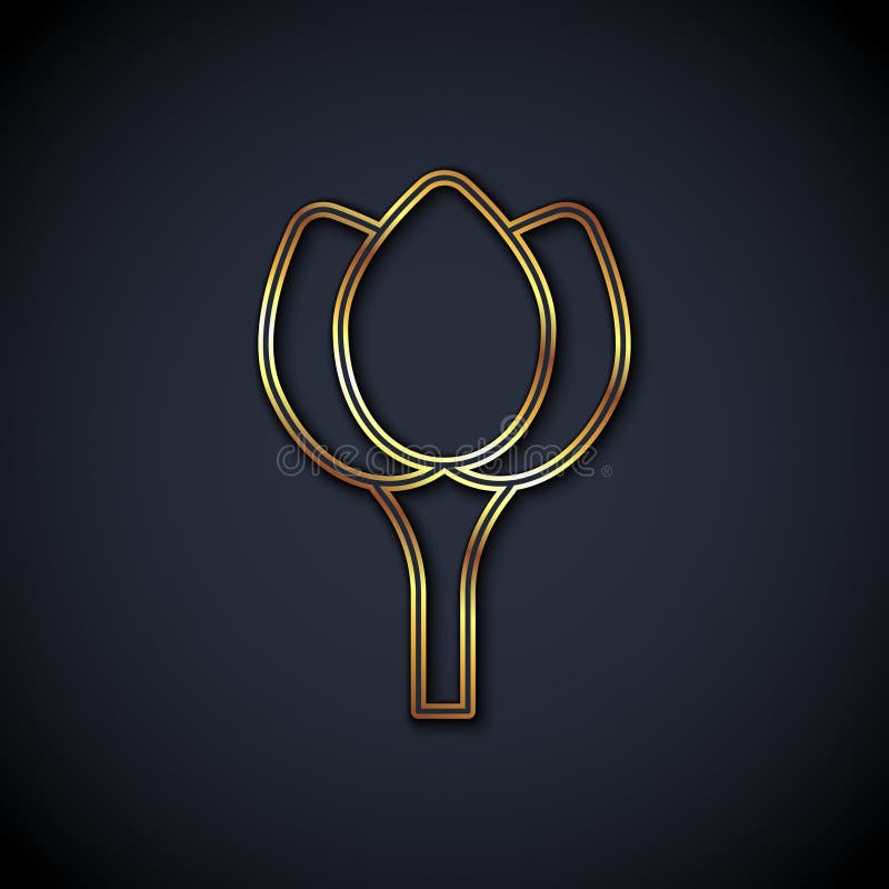 Gold Line Flower Tulip Icon Isolated on Black Background. Vector Stock ...