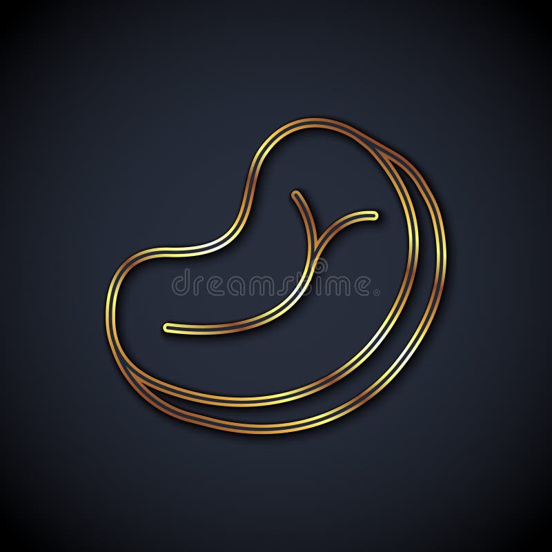 Gold Line Steak Meat Icon Isolated on Black Background. Vector Stock ...