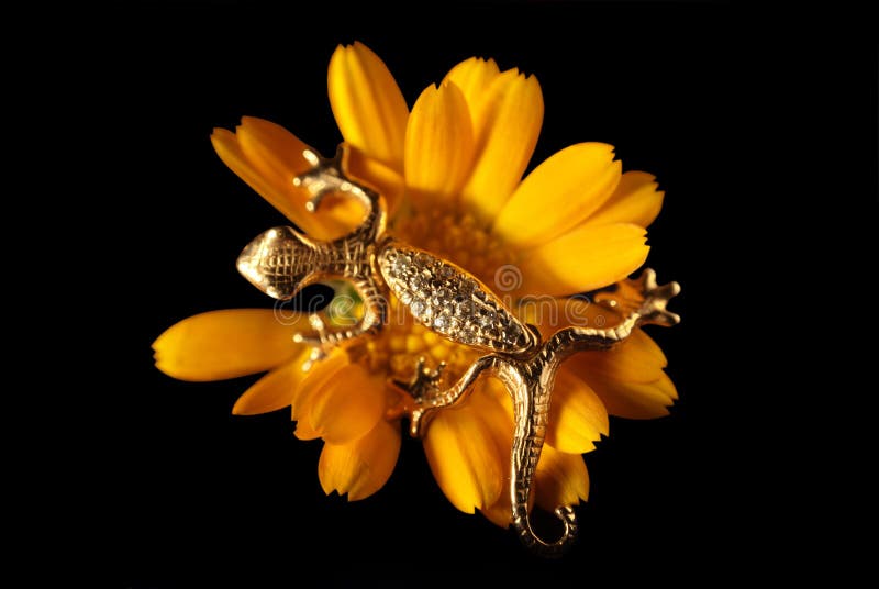 Lizard Gold Tegu (Trinidad) Stock Image - Image of south, awake: 22234921