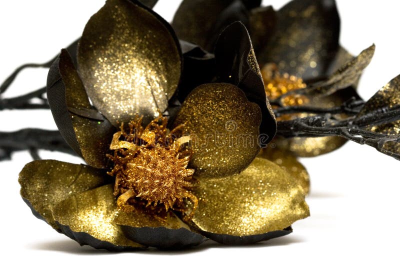 Gold magnolia stock photo. Image of botany, flora, background - 7328432