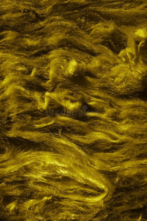 Gold Mineral Wool with a Visible Texture Stock Image - Image of ...