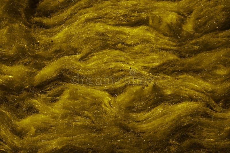 Gold Mineral Wool with a Visible Texture Stock Image - Image of ...