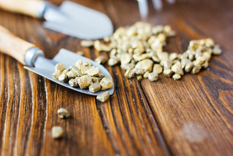 Gold Mining Concept - Golden Sand with Instruments for Mining. Stock ...