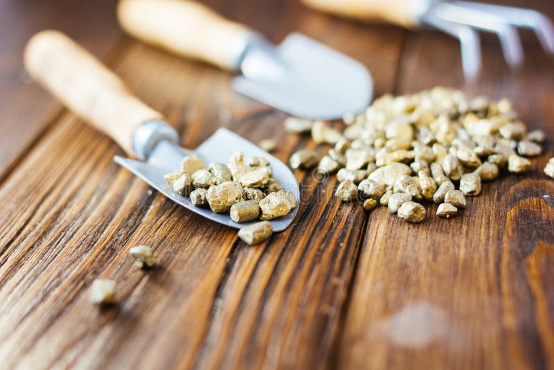 Gold Nugget Mining from the River Stock Image - Image of prosperity ...