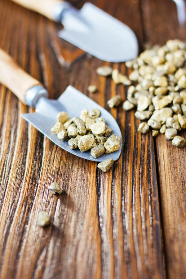 Gold Mining Concept - Golden Sand with Instruments for Mining. Stock ...