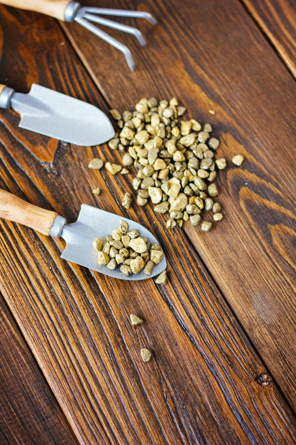 Gold Mining Concept - Golden Sand with Instruments for Mining. Stock ...