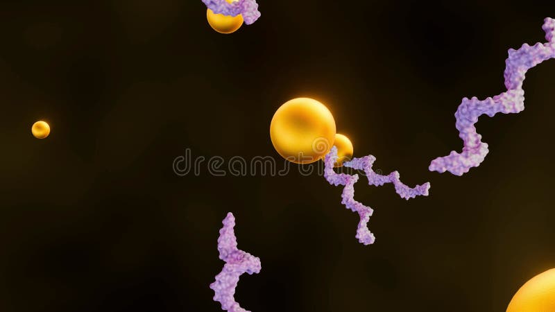 Gold Nanoparticles (AuNPs) Conjugated RNA Molecules Stock Footage ...