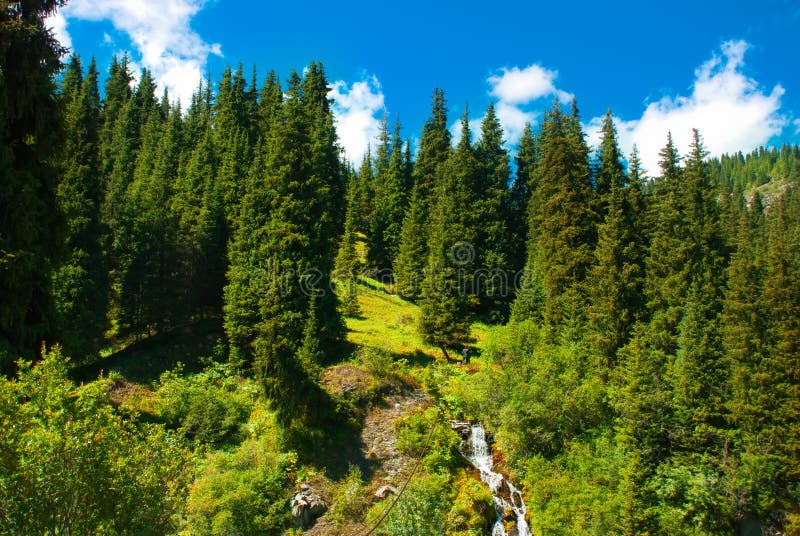 Gold Nature stock photo. Image of hiking, sunny, height - 18501286