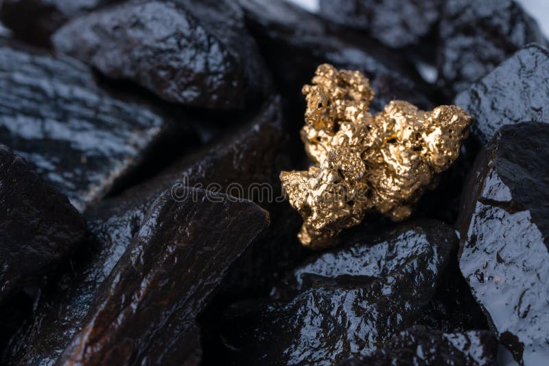 Gold Nugget Mining from the River in Austria, Real Gold. Stock Image ...