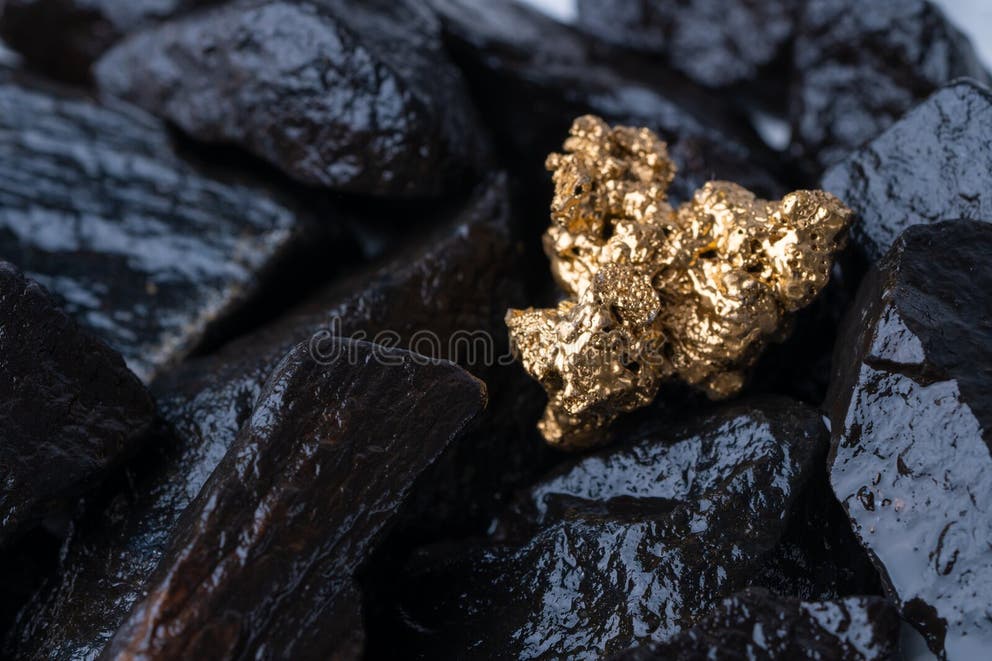 Gold Nugget Mining from the River in Austria, Real Gold. Stock Image ...