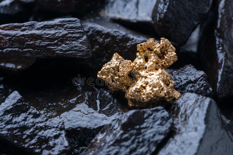 Gold Nugget Mining from the River in Austria, Real Gold. Stock Photo ...