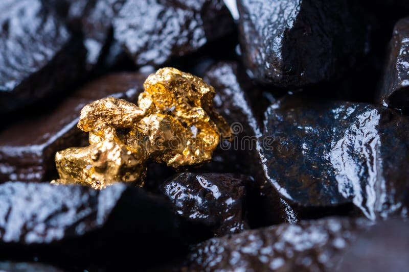 Gold Nugget Mining from the River in Austria, Real Gold. Stock Photo ...
