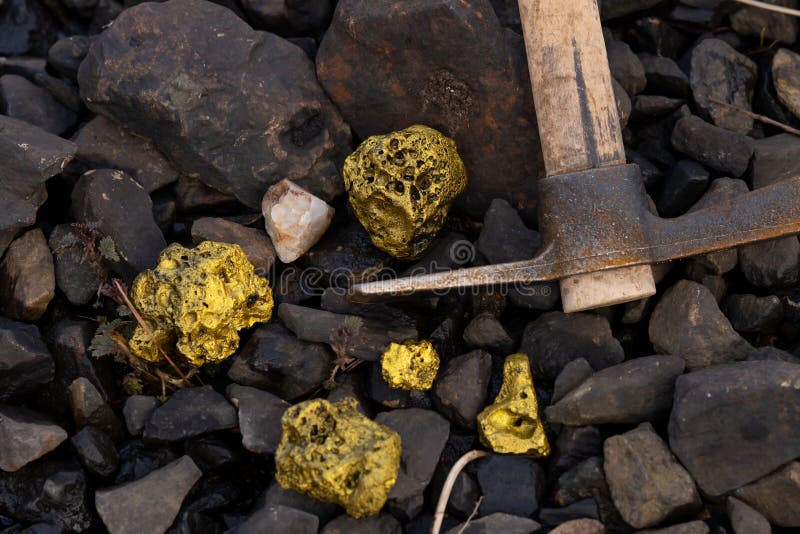 Gold Nugget Mining from the River in Austria, Real Gold. Stock Image ...