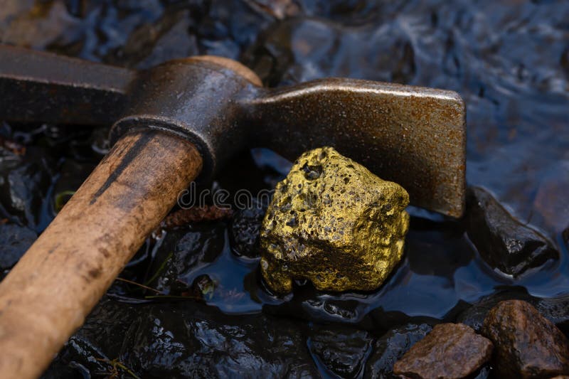 Gold Nugget Mining from the River in Austria, Real Gold. Stock Photo ...
