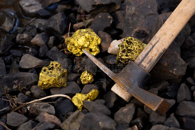 Gold Nugget Mining from the River in Austria, Real Gold. Stock Image ...