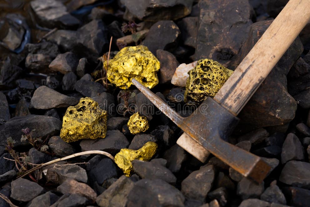 Gold Nugget Mining from the River in Austria, Real Gold. Stock Image ...